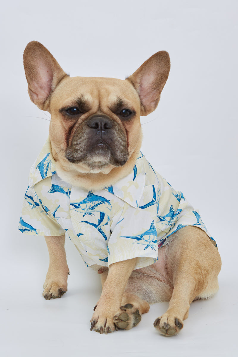 Dog Aloha Shirt in Marlin Yellow – Hawaii Hangover